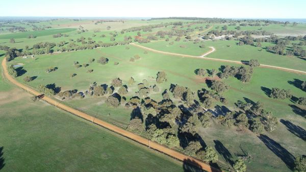 Opticomm brings city connection to Country Heights • Opticomm